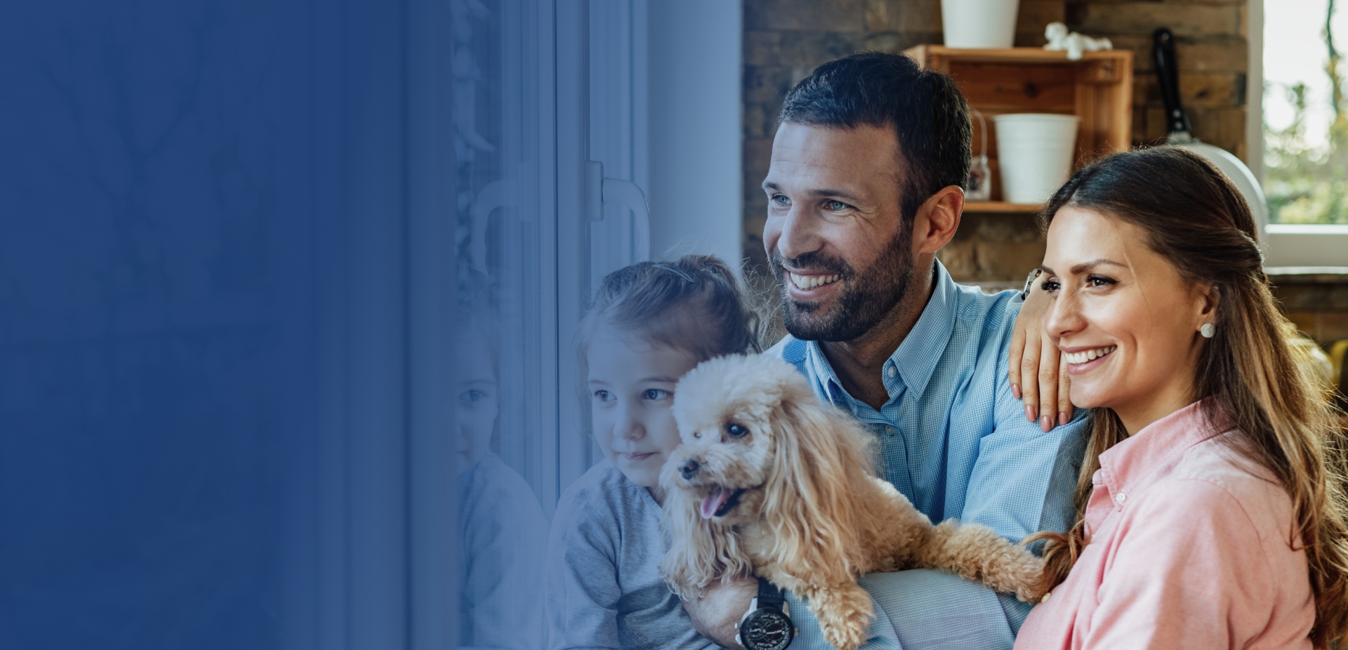 Phoenix Insurance - Seguros feitos para você